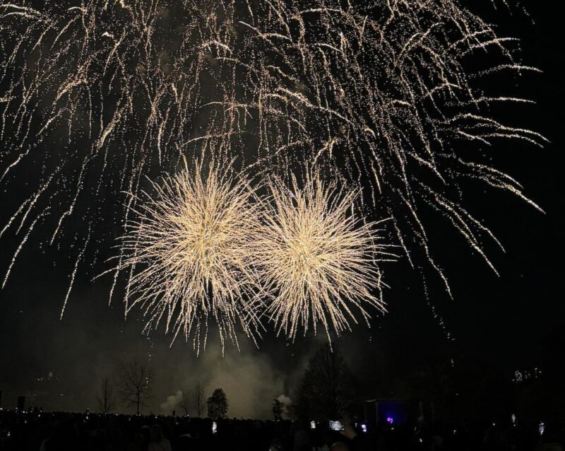 London’s Biggest Guy Fawkes Night: 16,000 Celebrate in Morden Park ...